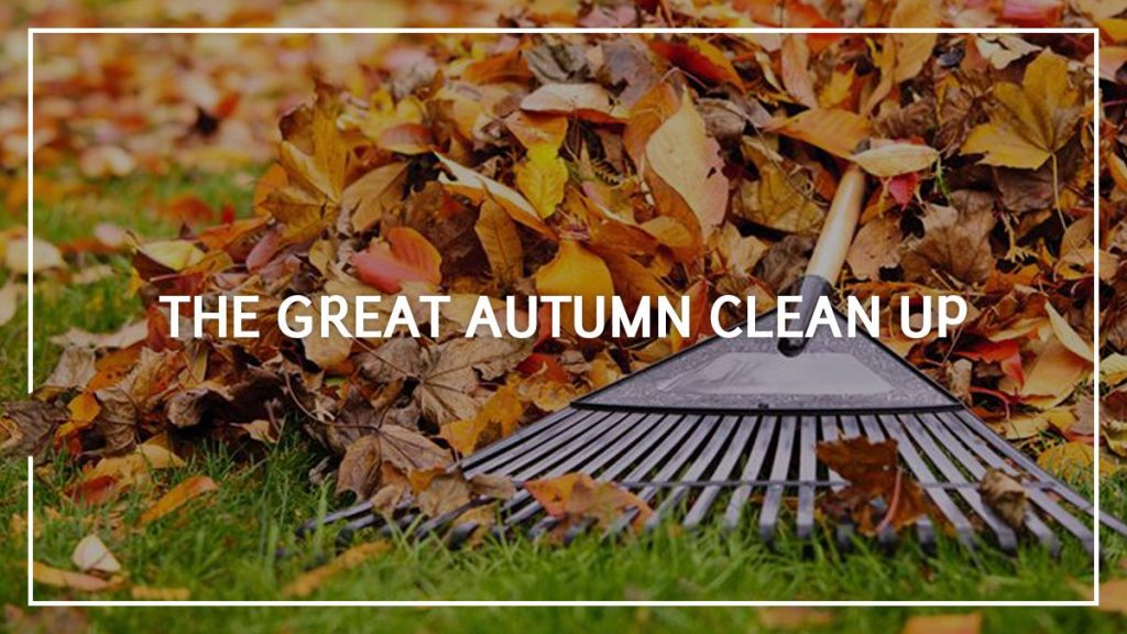 Autumn Cleanup Guide - Get Your House Ready For This Autumn